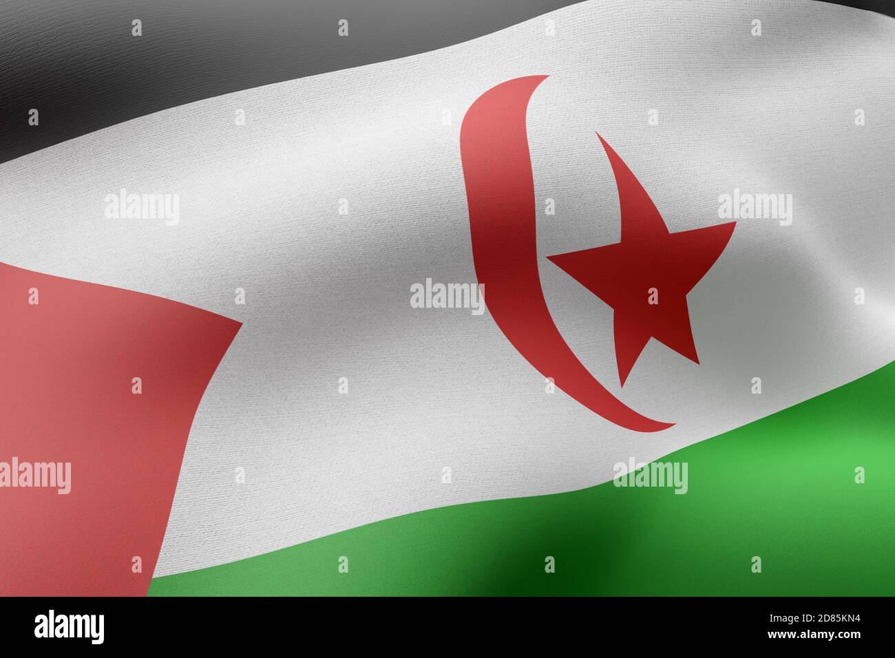 3d rendering of a textured national Sahrawi Arab Democratic Republic ...