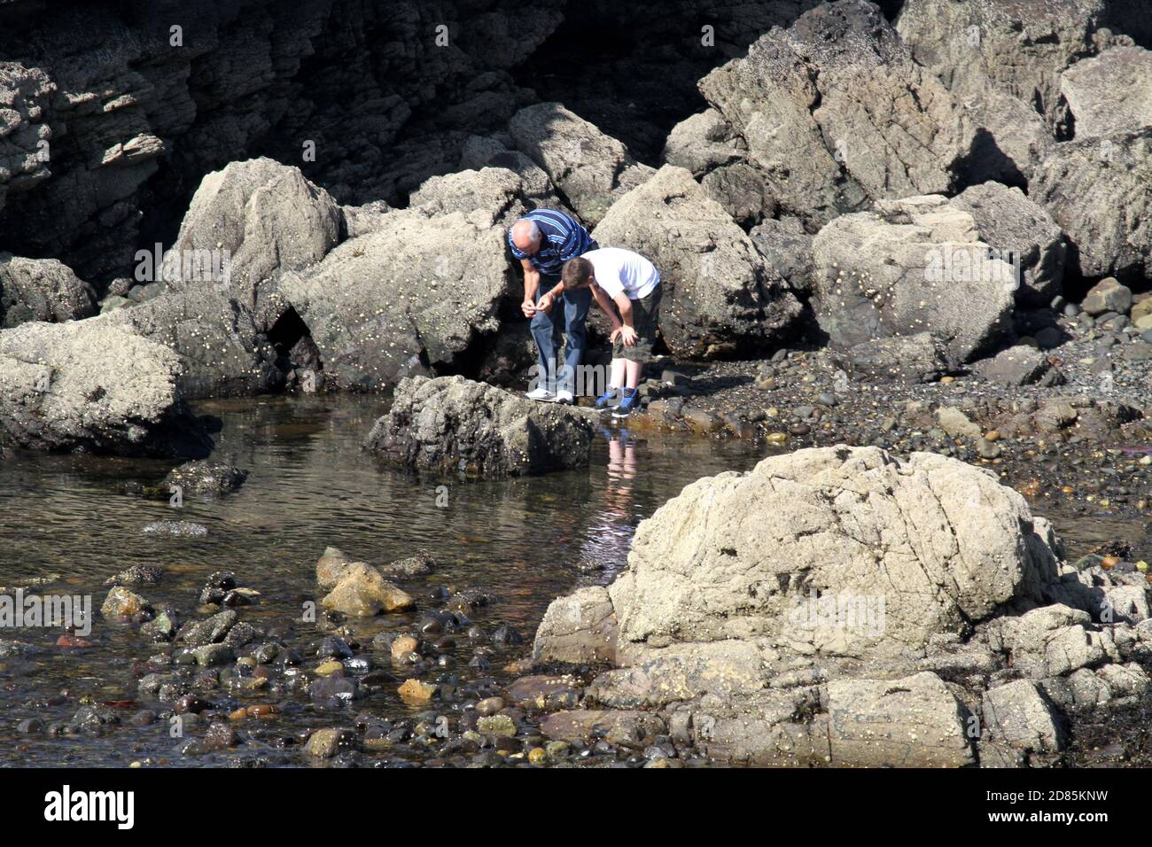 Rock pools children uk hi-res stock photography and images - Alamy