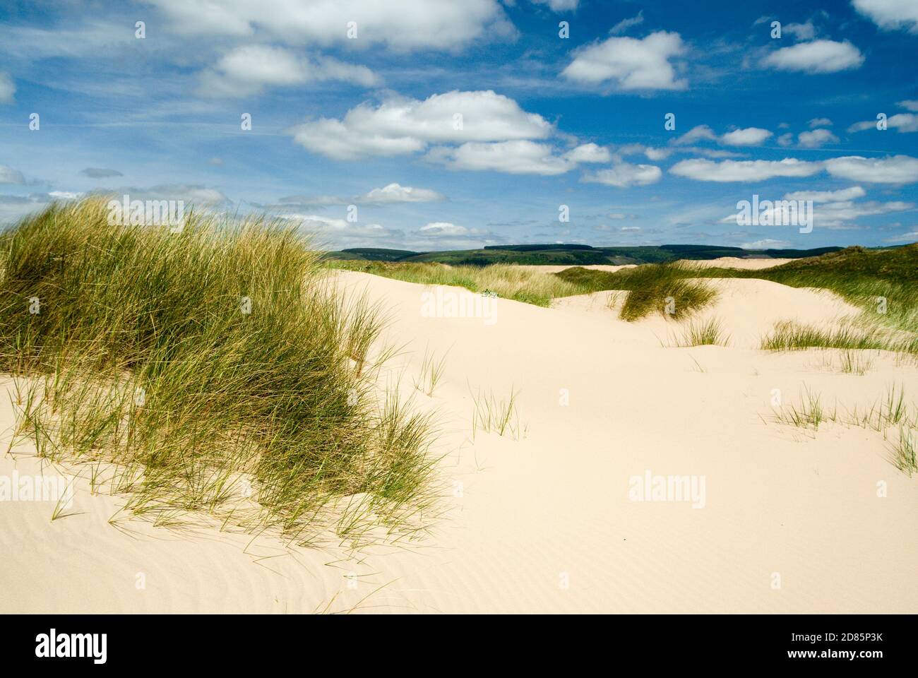 Kenfig dunes nature reserve hi-res stock photography and images - Alamy