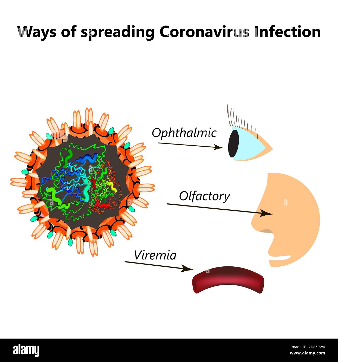 Viremia Stock Vector Images - Alamy