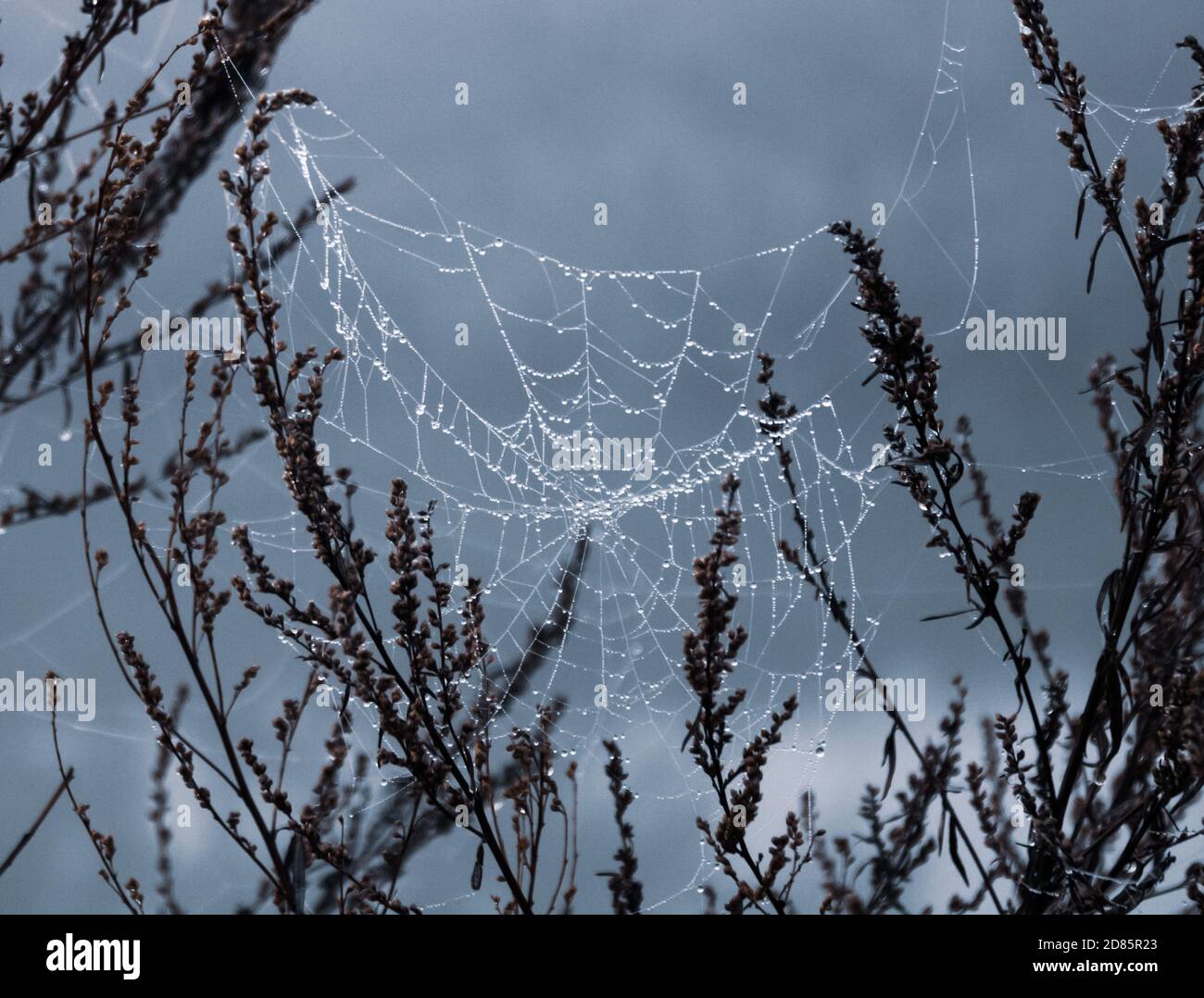 These are photos of me and my daughter who is eight years old, they are ...