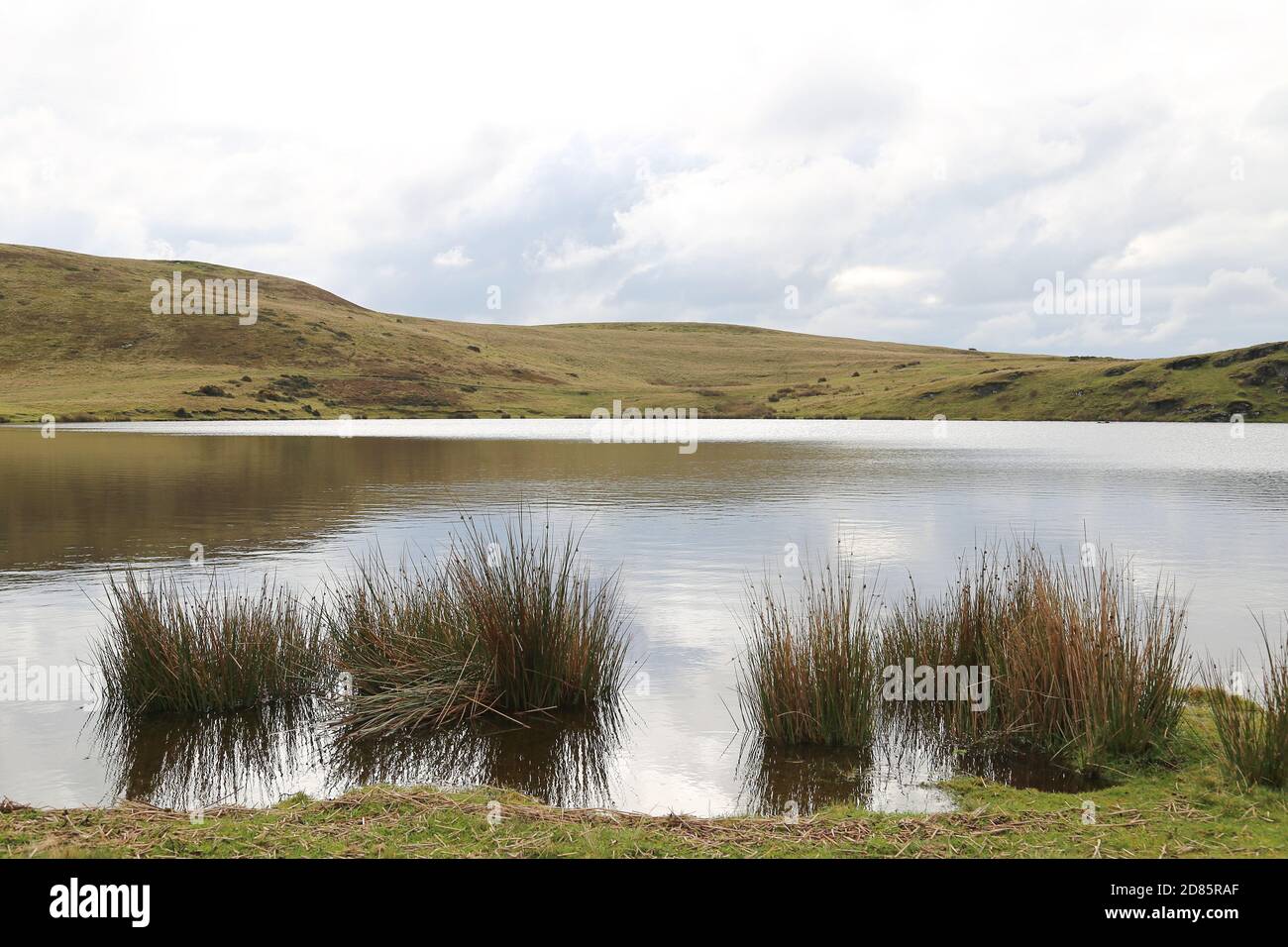 Llyn celyn hi-res stock photography and images - Alamy