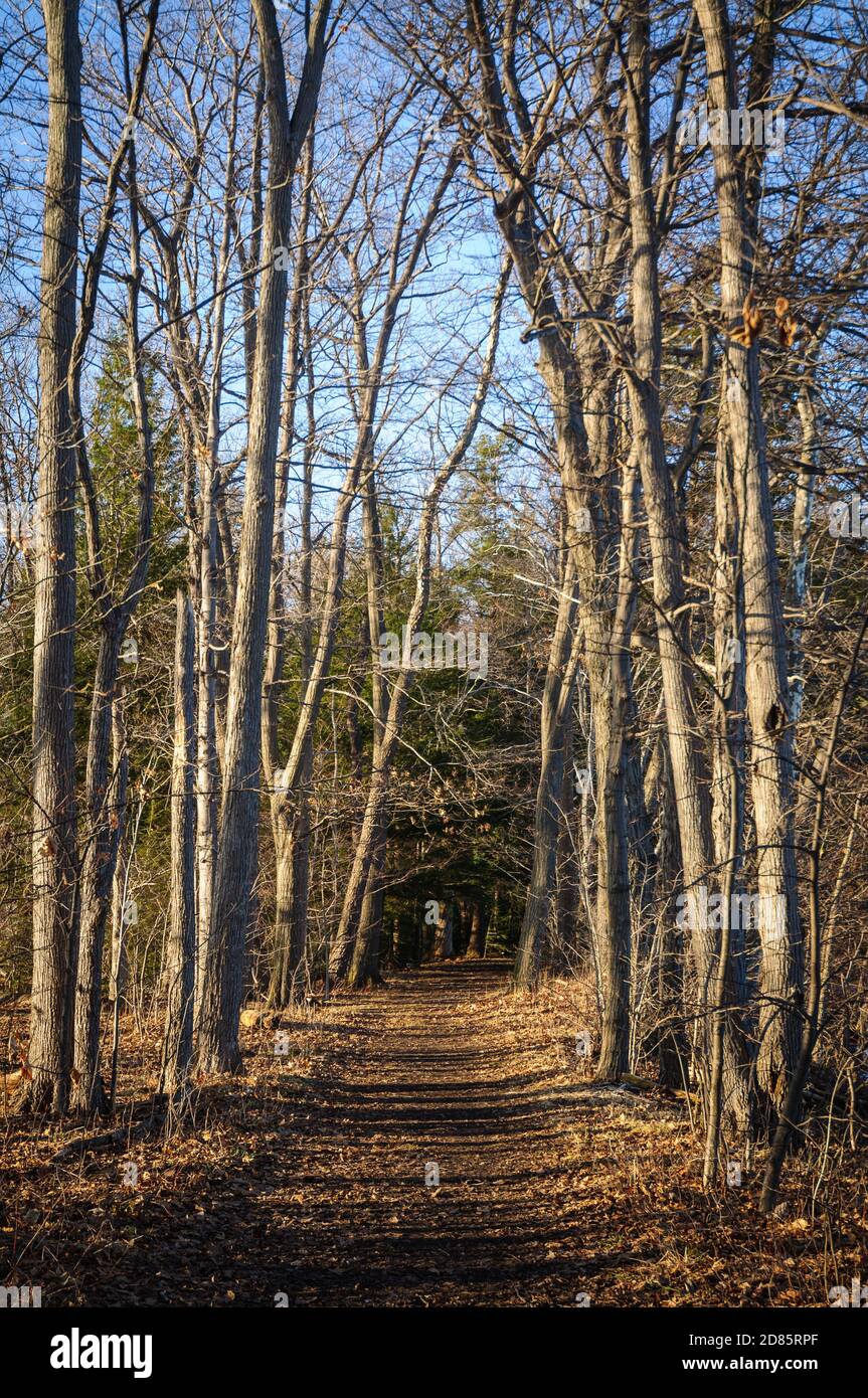 Long Point State Park Stock Photo - Alamy