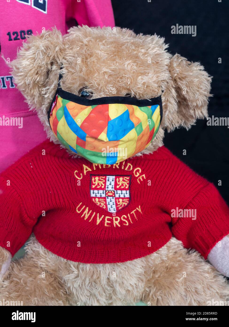 Teddy bear wearing face mask hi-res stock photography and images - Alamy