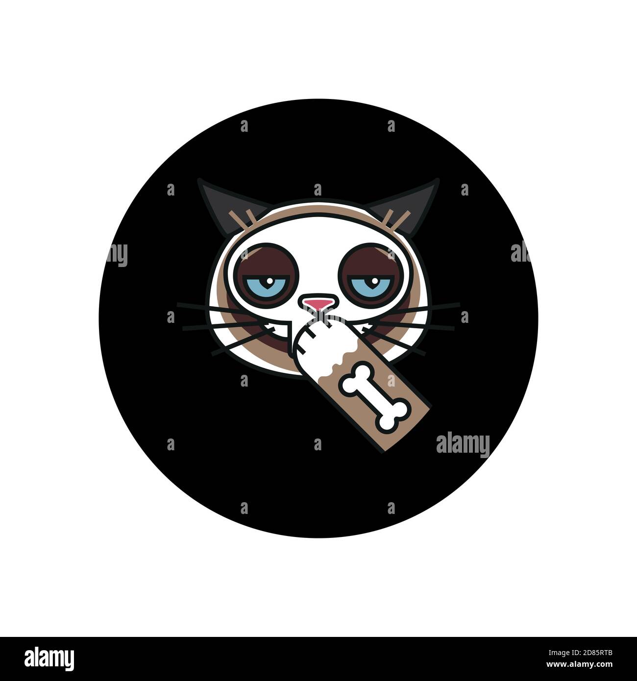 Grumpy cat meme hi-res stock photography and images - Alamy