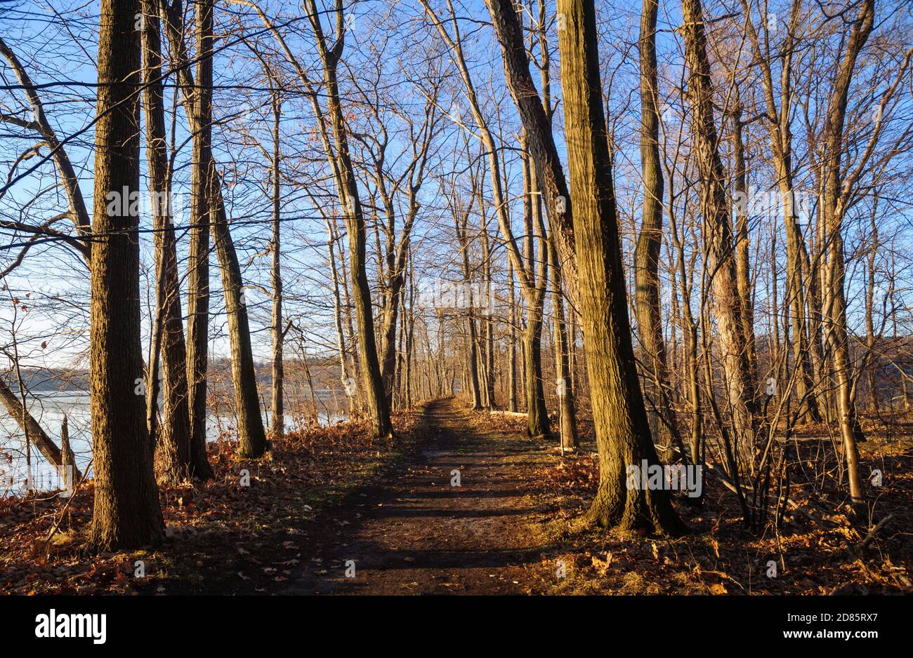 Long Point State Park Stock Photo - Alamy