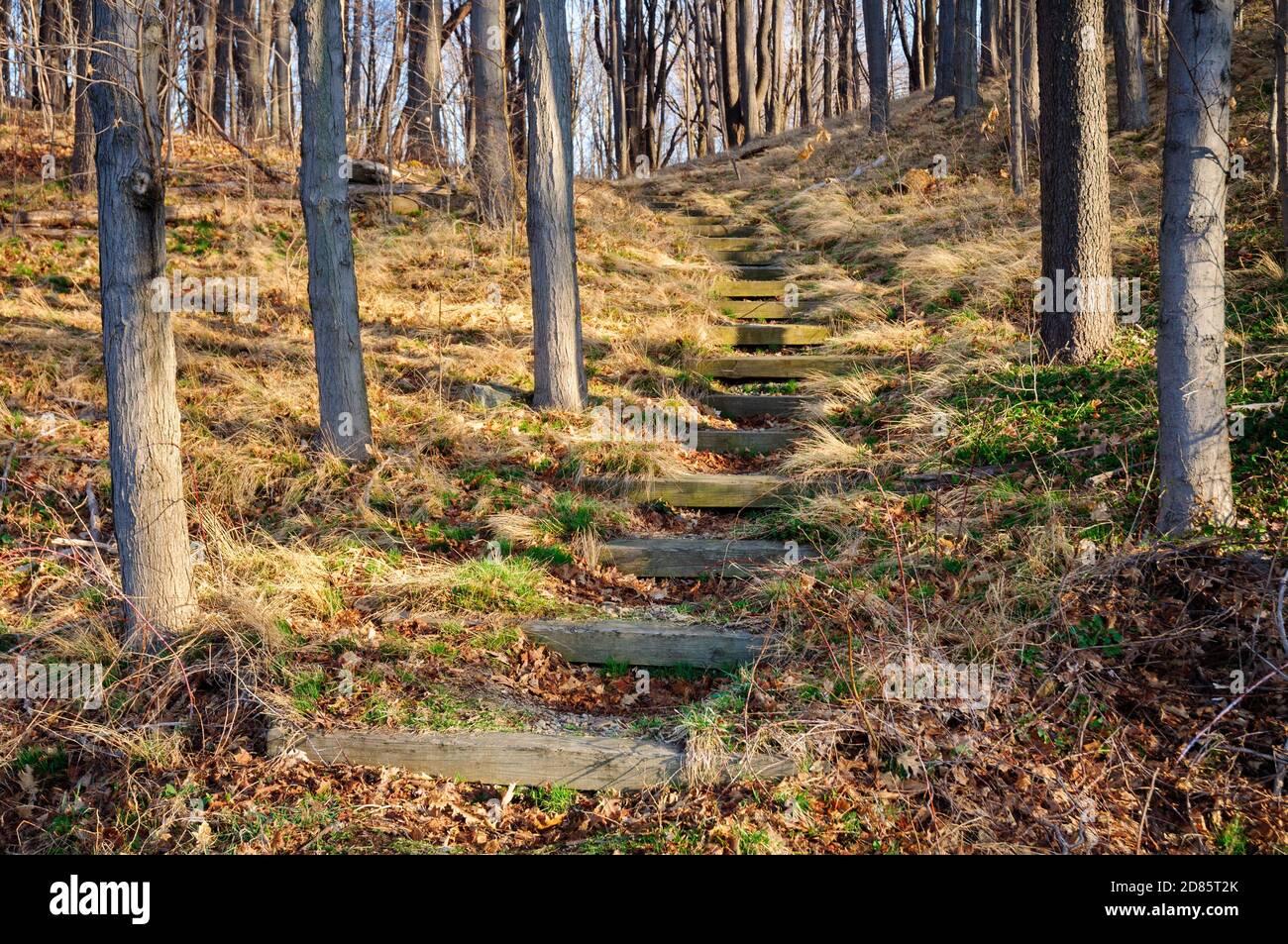 Long Point State Park Stock Photo - Alamy
