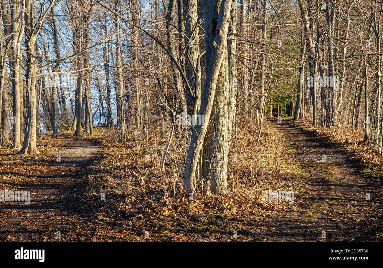 Long Point State Park Stock Photo - Alamy