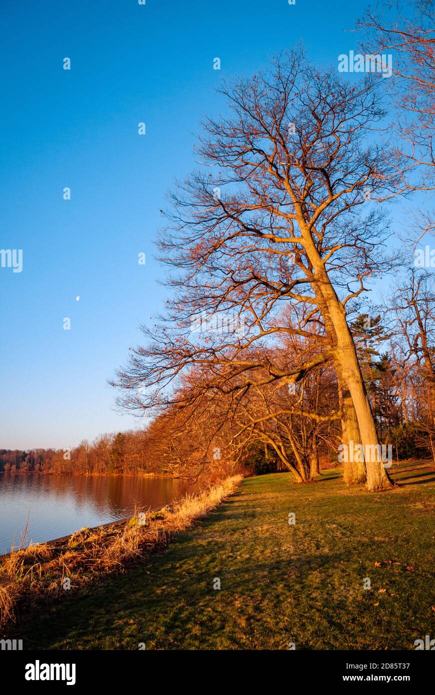 Long Point State Park Stock Photo - Alamy