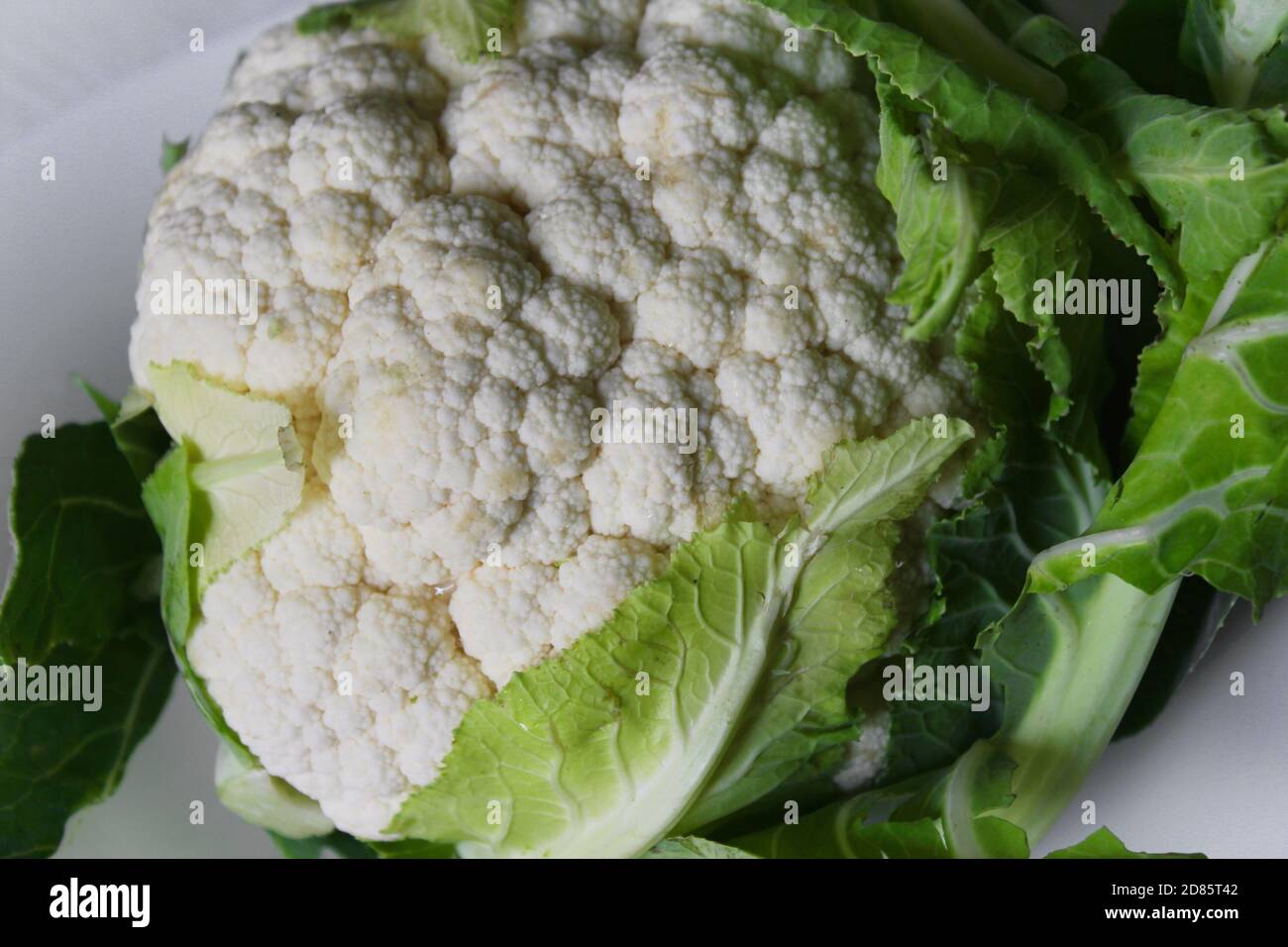 Close up of fresh raw cauliflower Stock Photo - Alamy