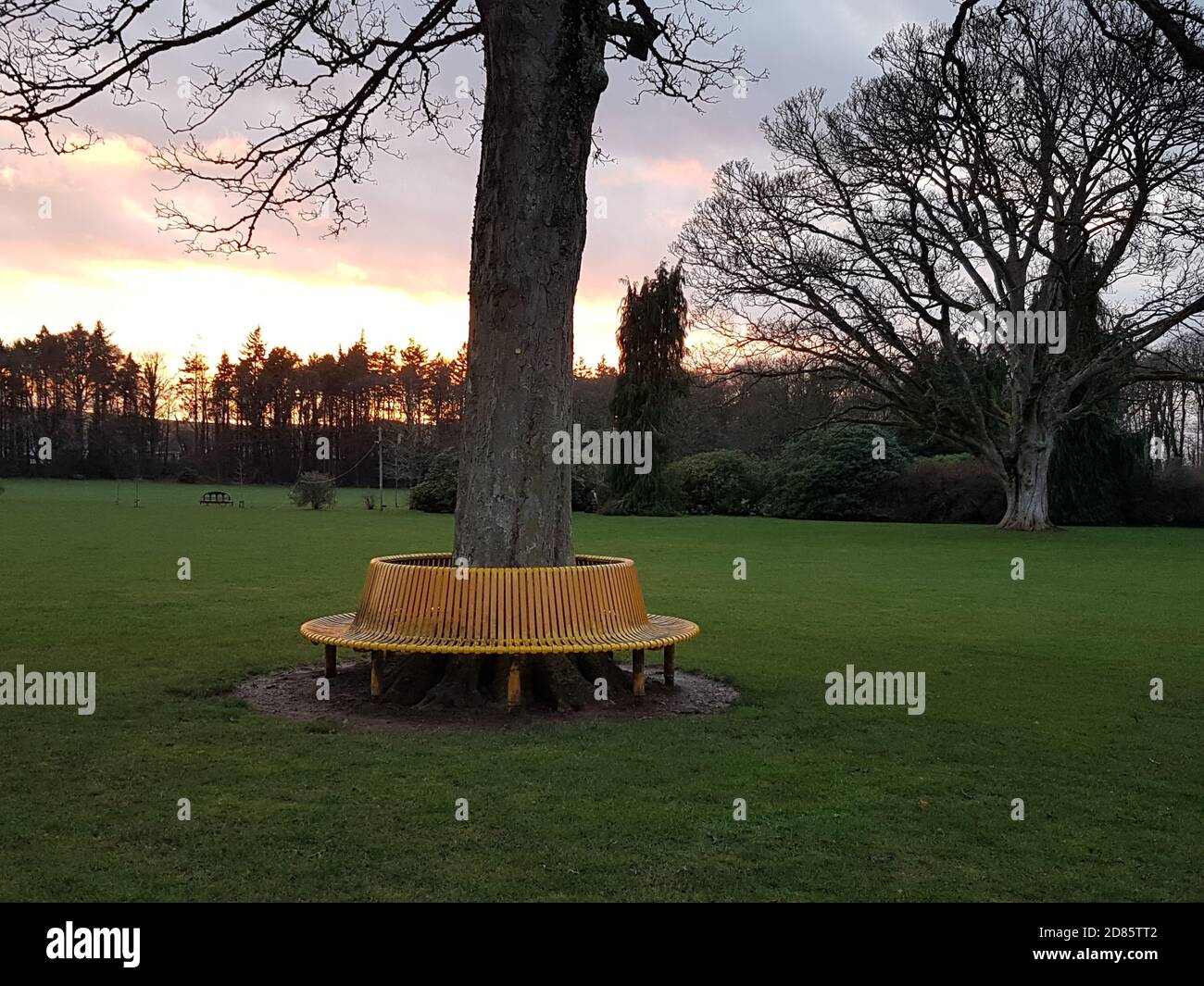 Metal bench around a tree hi-res stock photography and images - Alamy