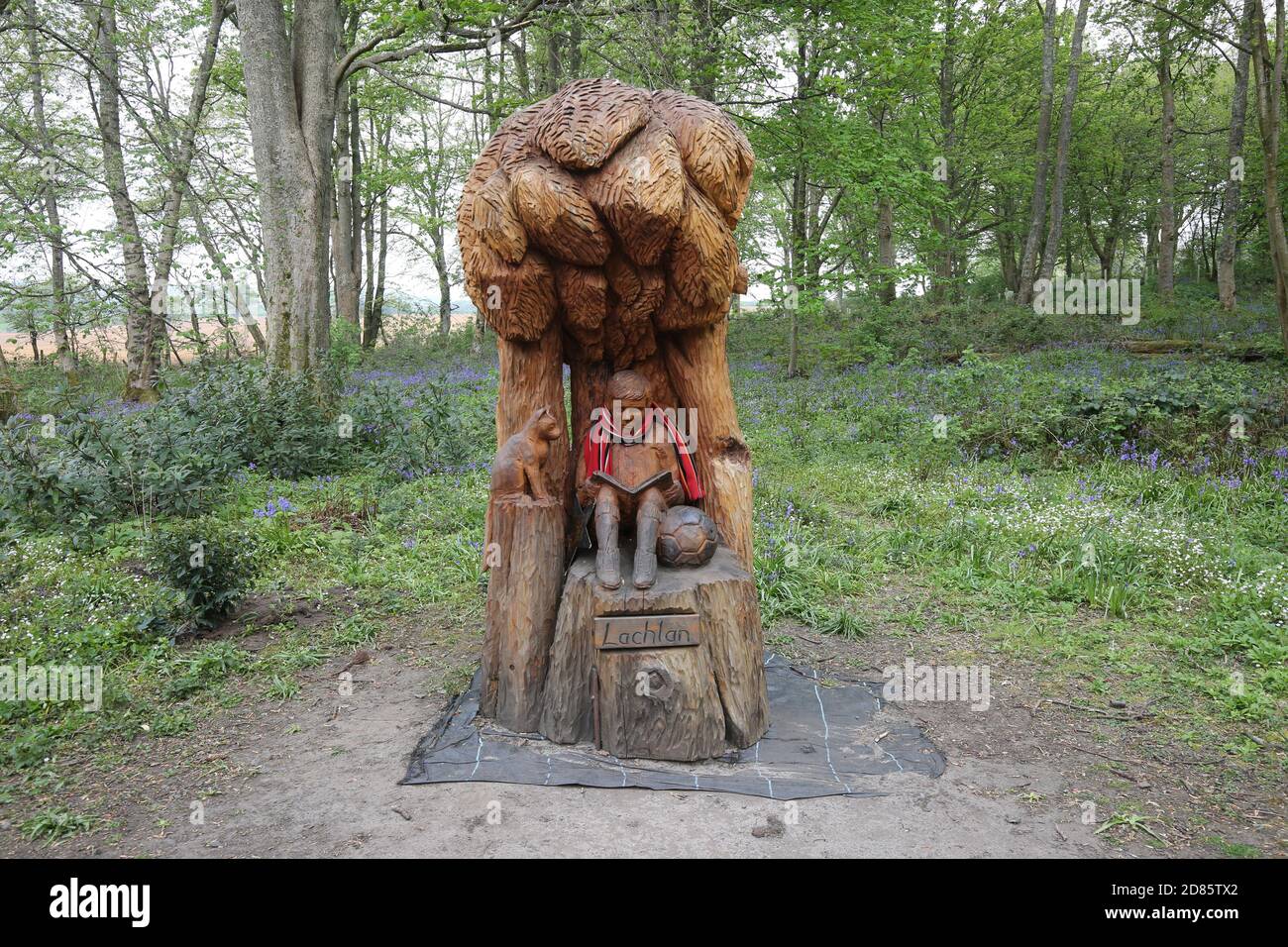 Fullerton Woods, Troon , Ayrshire, Scotland 24 April 2019 A magical ...