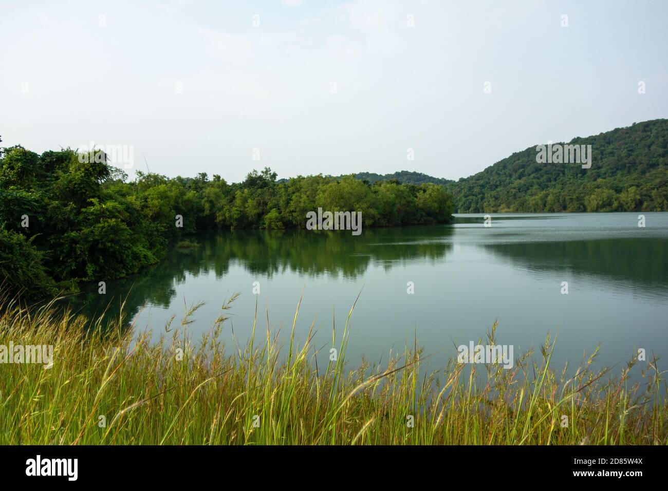 Scenic view of Moisal dam reservoir in Rumbrem, Sanguem, Goa, India ...