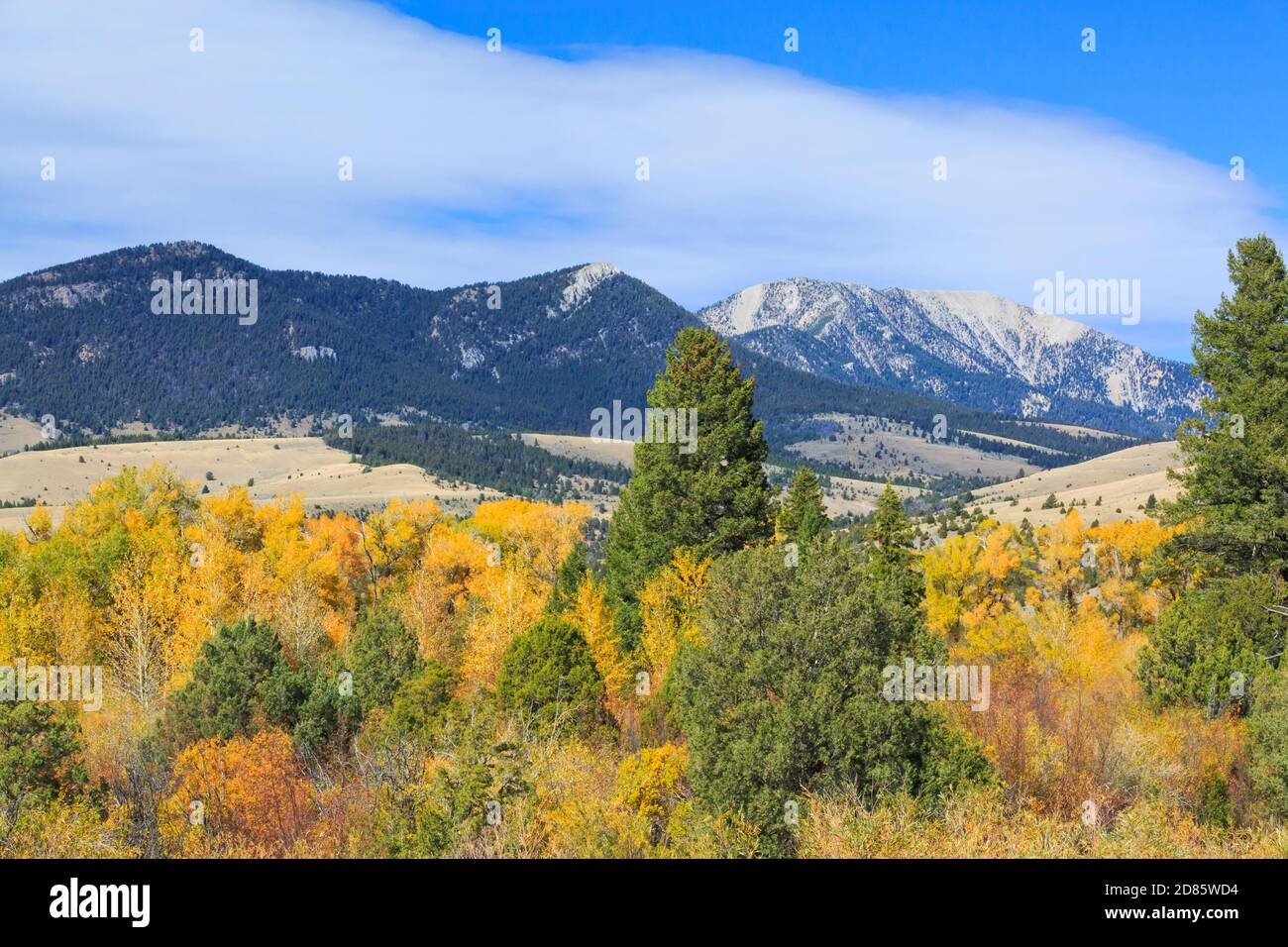 fall colors below the greenhorn range near alder, montana Stock Photo ...