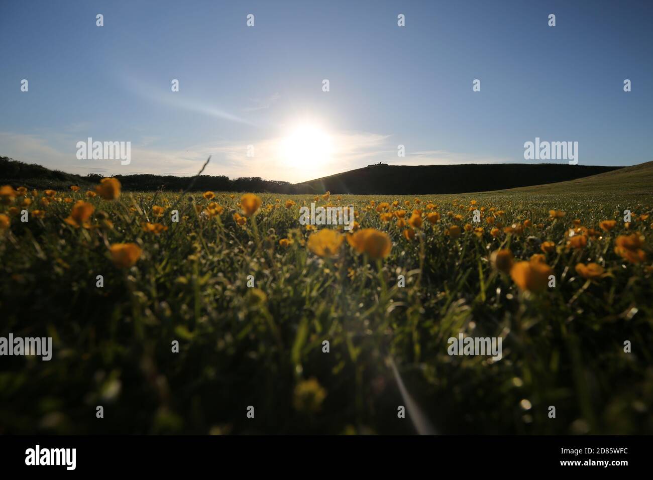 Irvine, Scotland, 21 June 2019 Irvine Beach Park Credit : Alister Firth ...