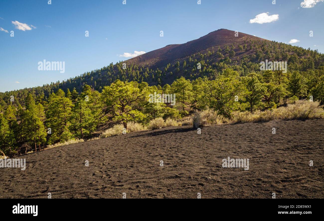 Sunset Crater National Monument, Flagstaff Arizona Stock Photo - Alamy