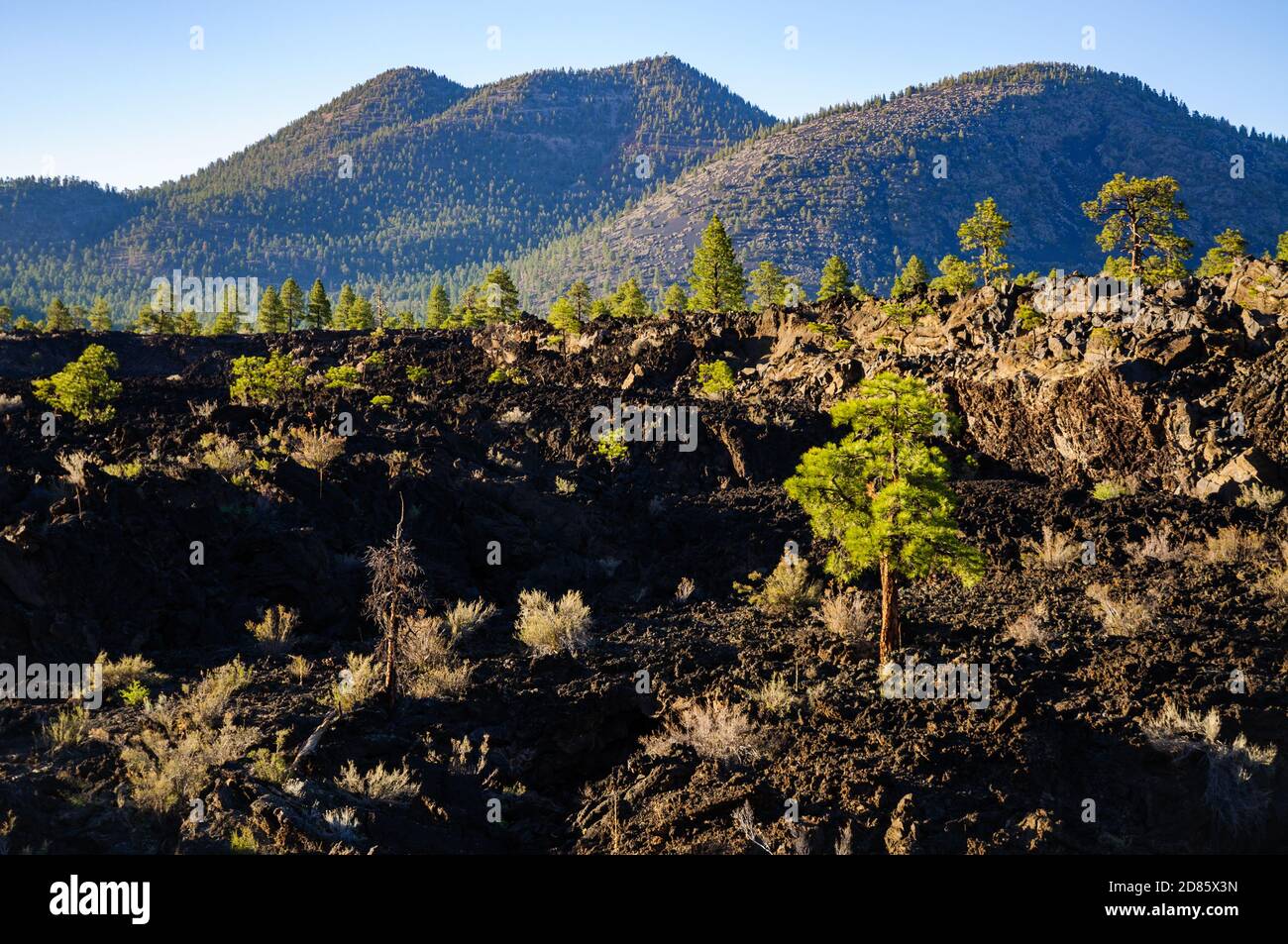 Sunset Crater National Monument, Flagstaff Arizona Stock Photo - Alamy