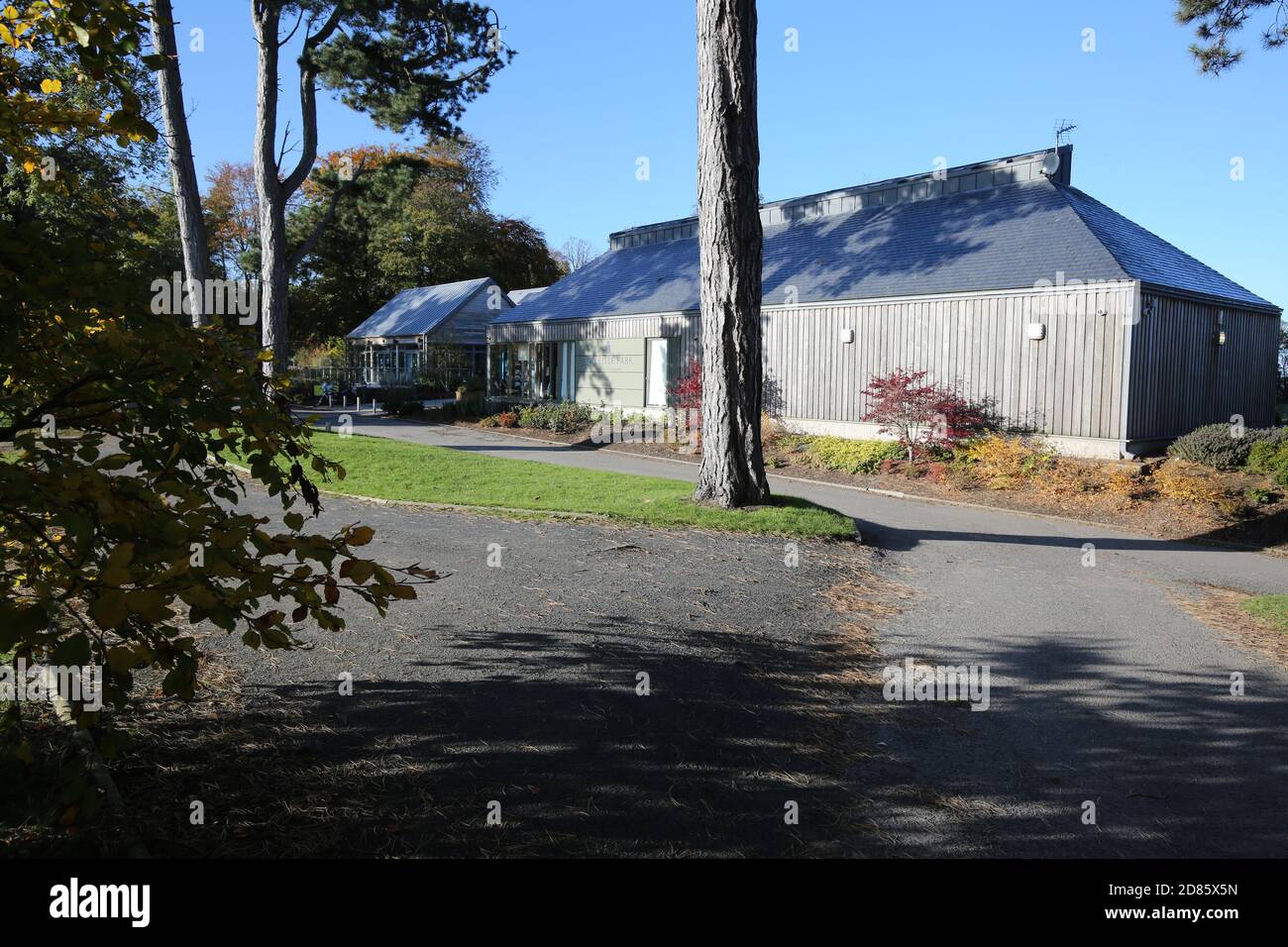 Garden club project hi-res stock photography and images - Alamy