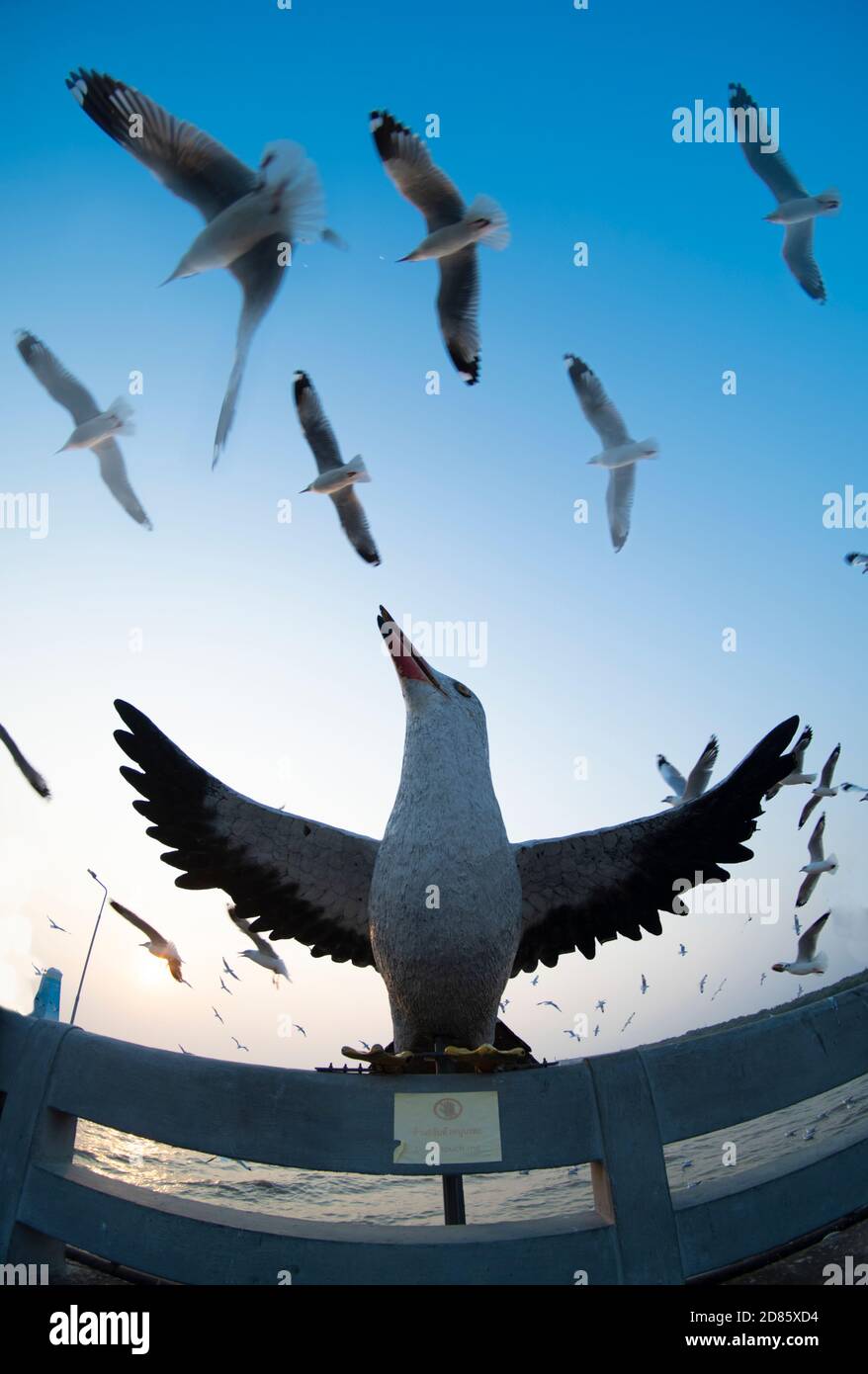 Statue and the birds hi-res stock photography and images - Alamy