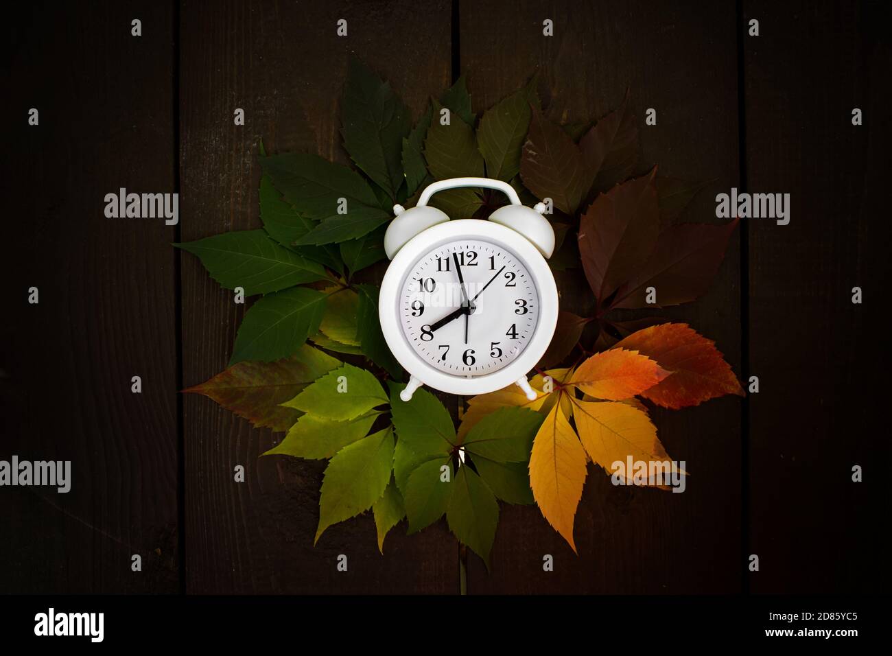 Colors of Fall. Colorful autumn leaves with alarm clock on a brown ...