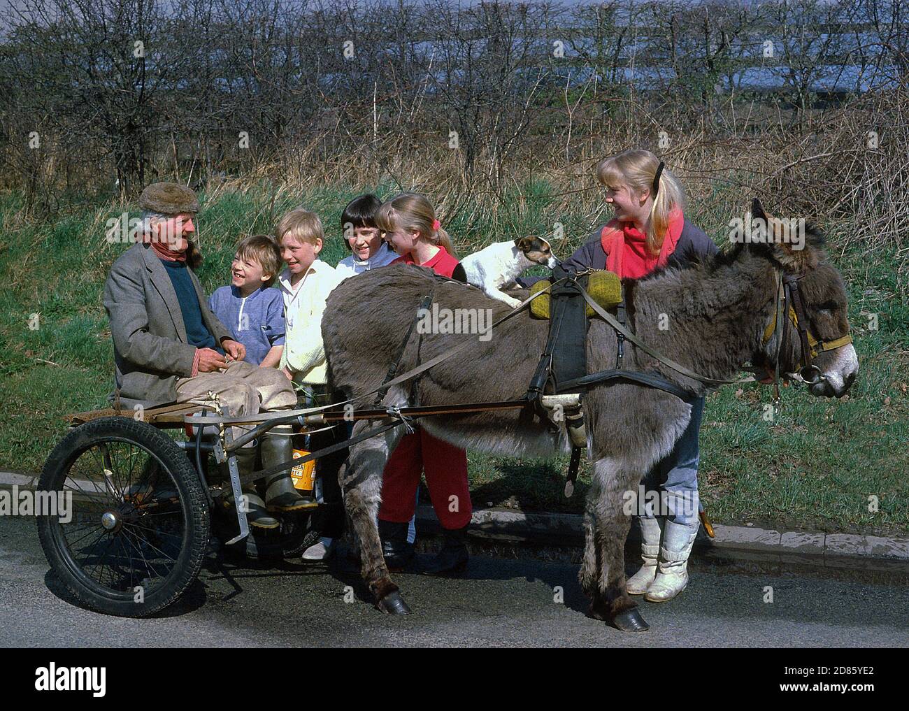 Solihull children find a donkey and it driver an attraction Stock Photo ...