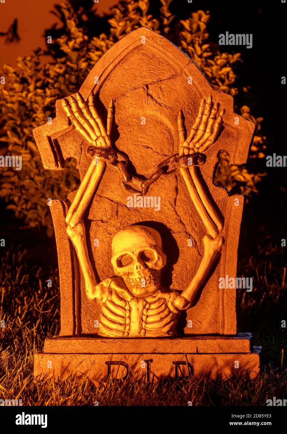 Handcuffed Skeleton Emerging from Gravestone Stock Photo - Alamy