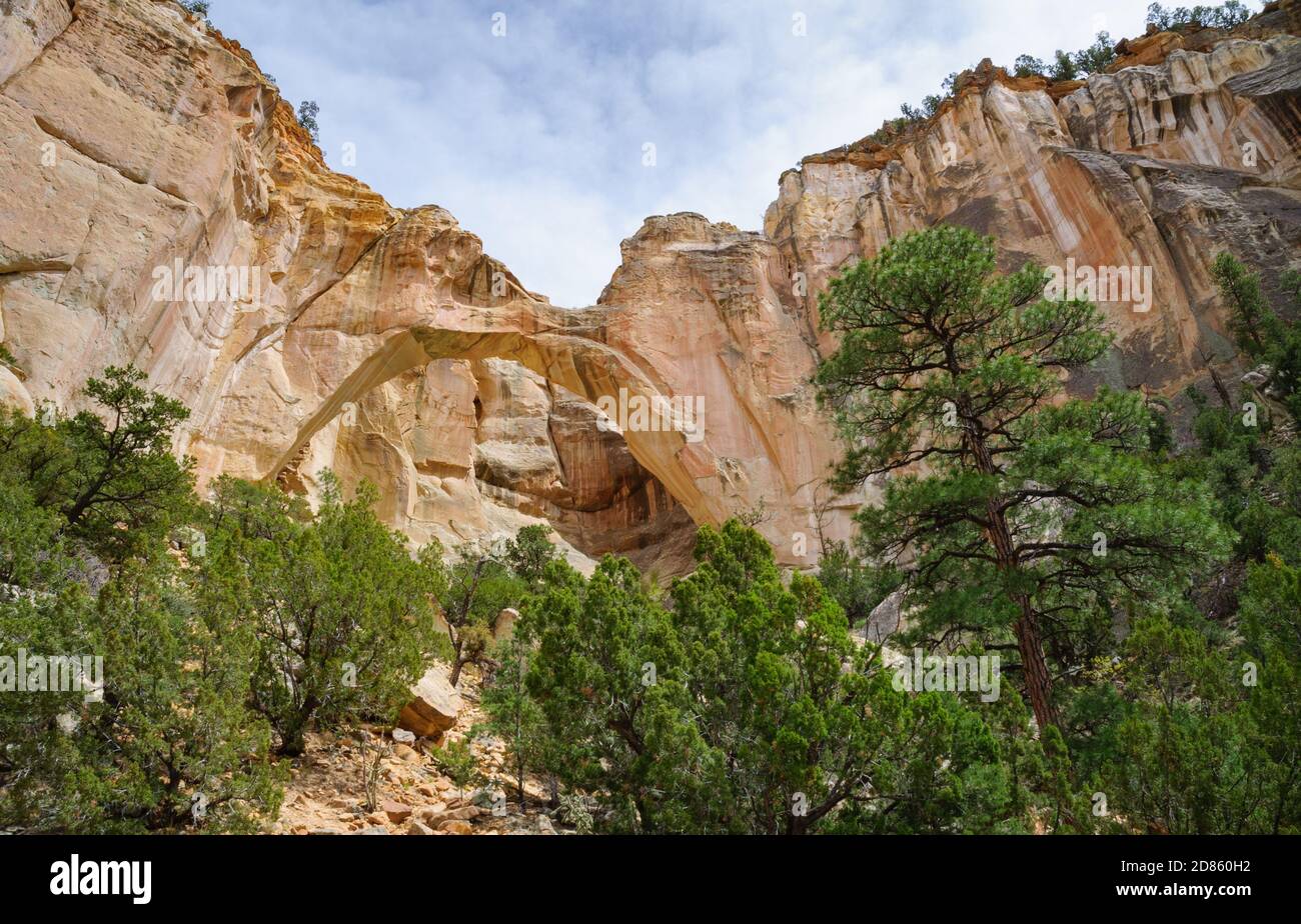 El Malpais National Monument Stock Photo - Alamy