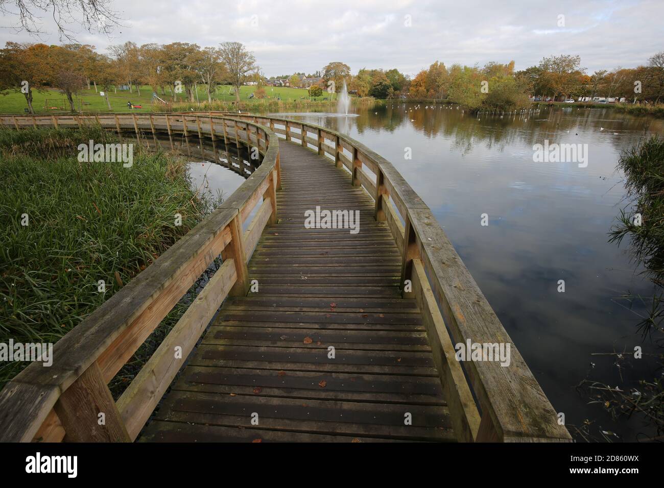 Kilmarnock, Scotland ,21 October 2019 Kay Park avenue of trees Credit ...