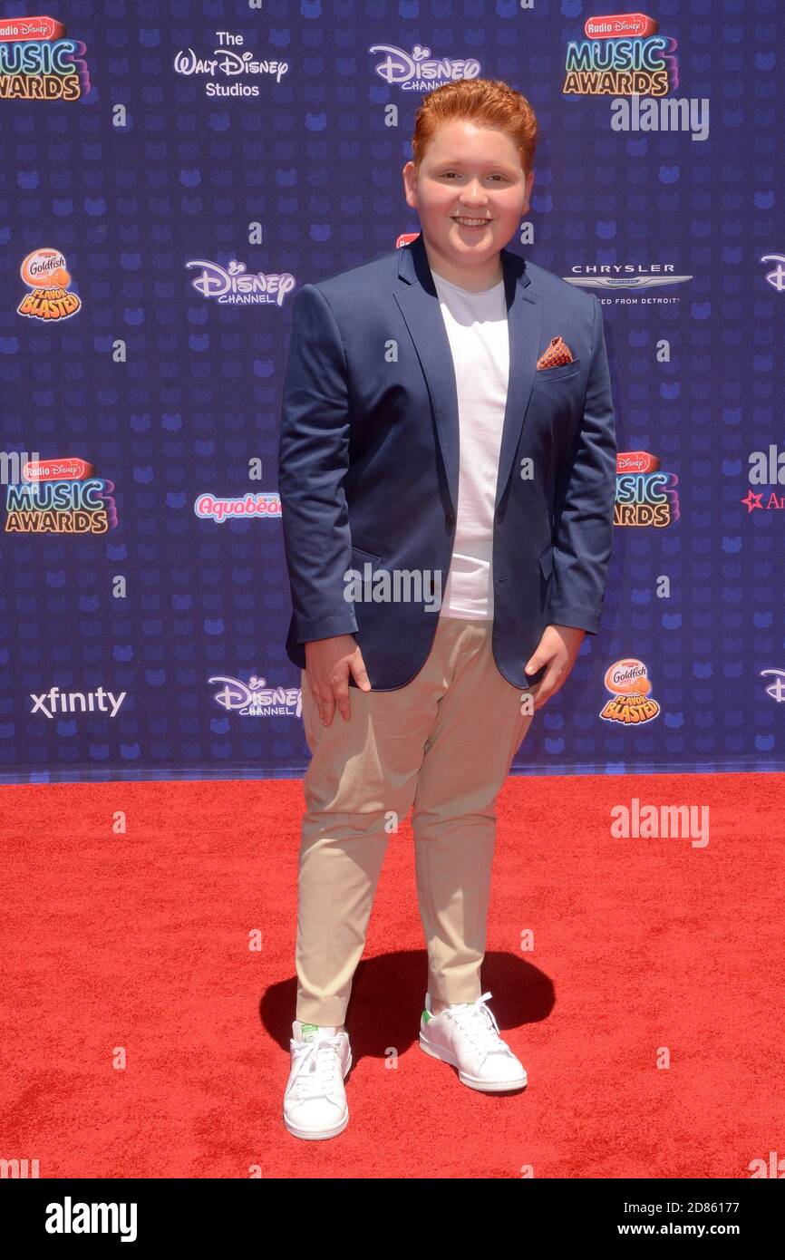 LOS ANGELES - APR 29: Matthew Royer at the 2017 Radio Disney Music ...