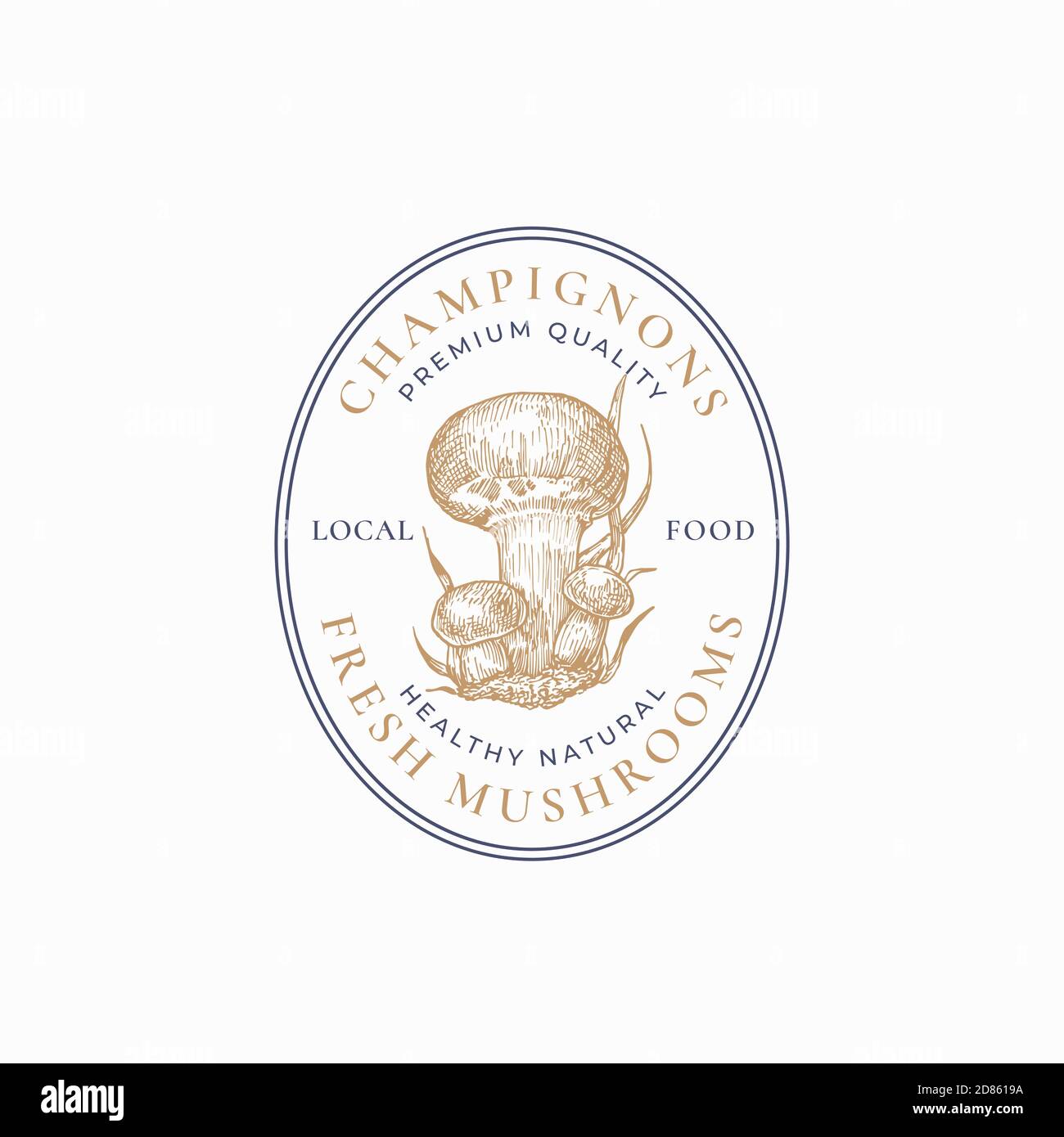 Mushrooms Abstract Frame Sign, Symbol or Logo Template. Hand Drawn ...