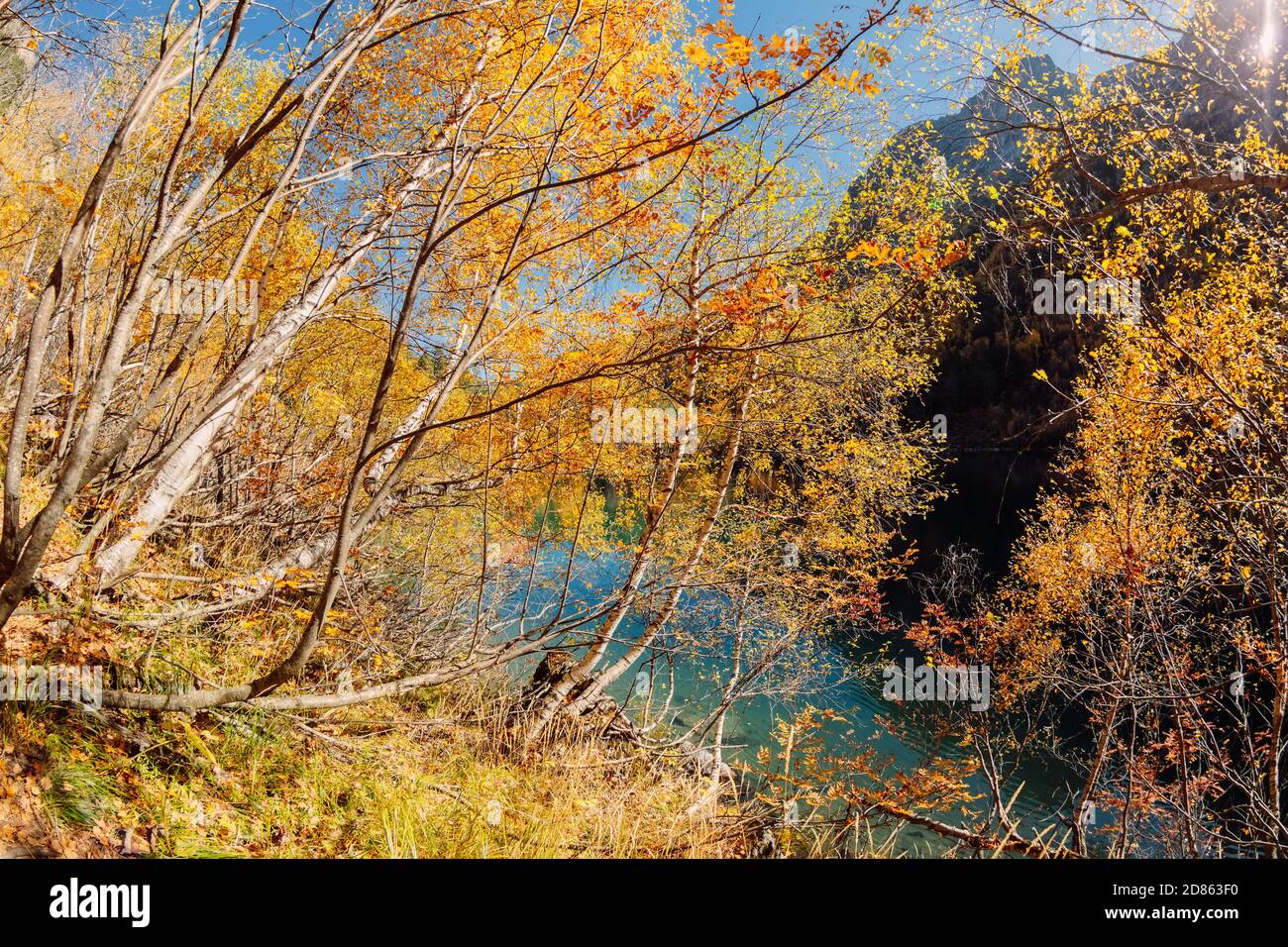 Mountain lake with transparent water and colorful autumnal trees ...