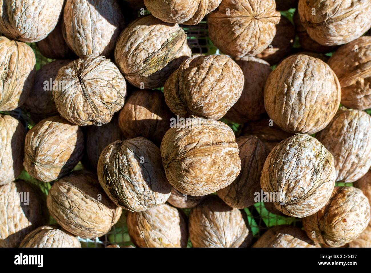 walnuts nuts background, texture dried in the sun. vegetarian food ...