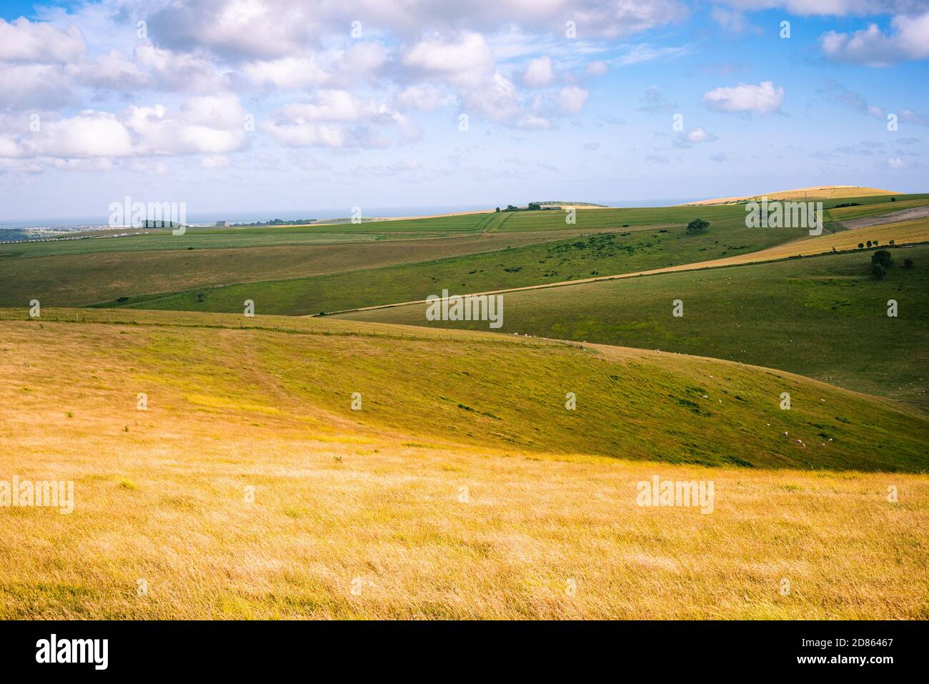 Landscape of the South Downs in southern England with long grass and ...