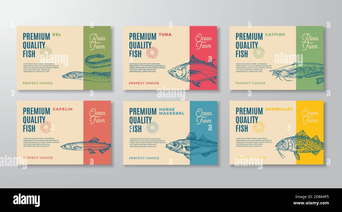 Fish Labels Set. Abstract Vector Packaging Design Layouts Collection ...
