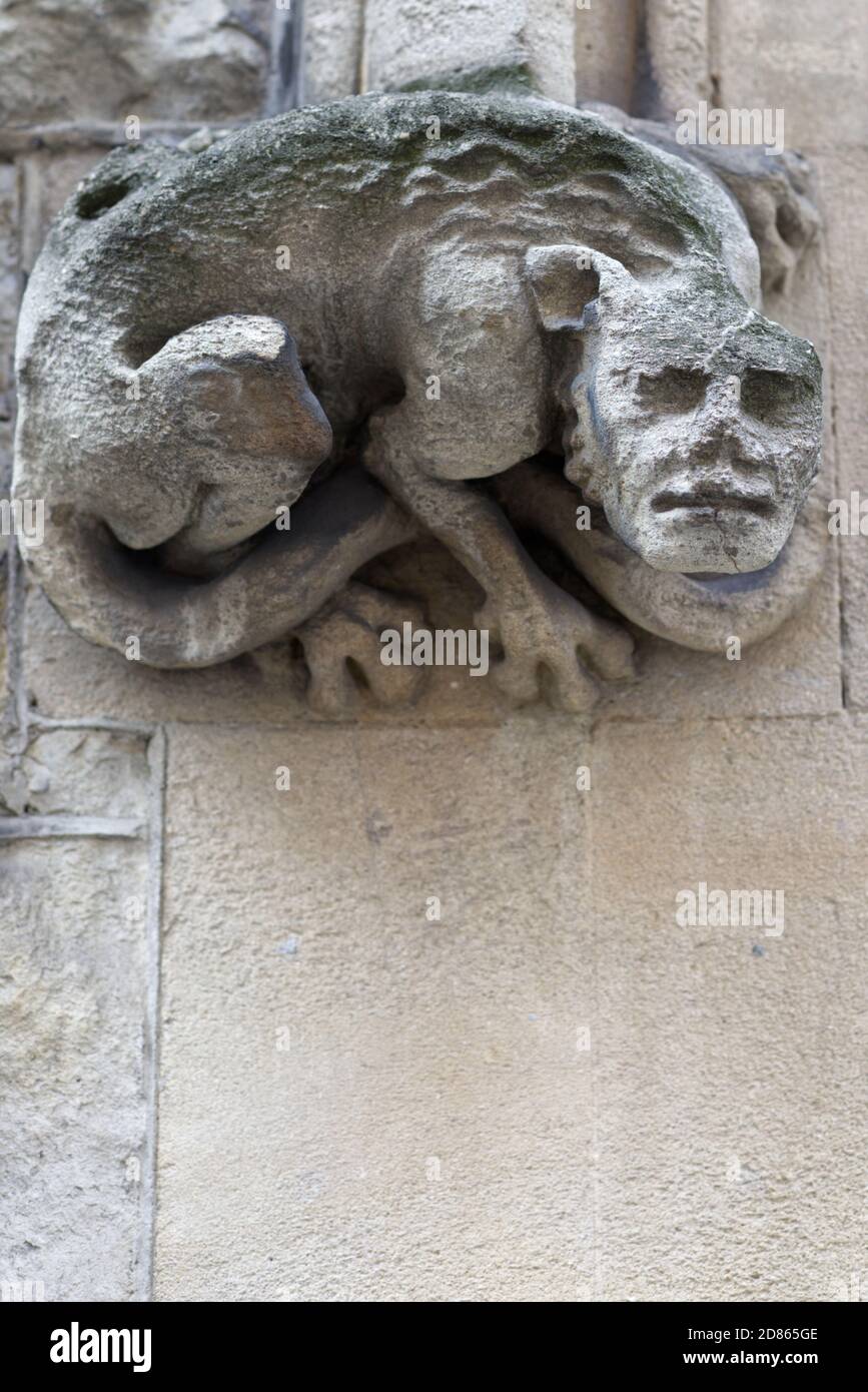 Guildhall stone Dragon, gargoyle Stock Photo - Alamy