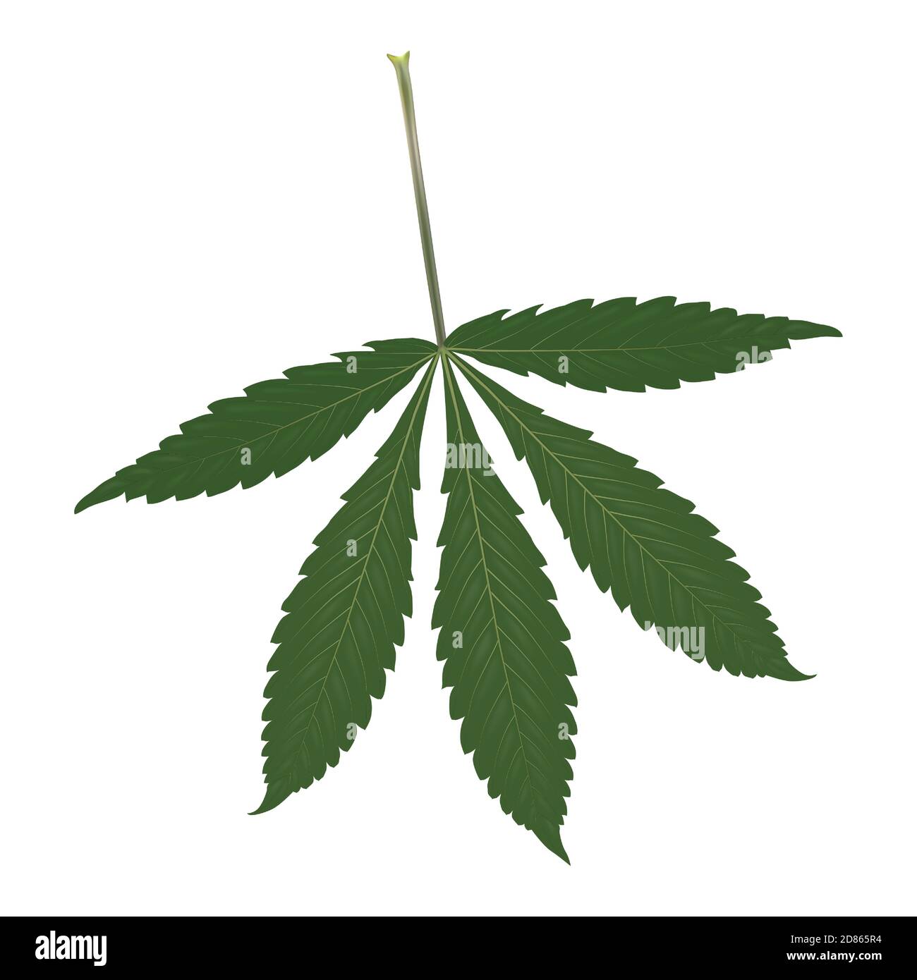 Pharmacy oil marijuana on Stock Vector Images - Alamy