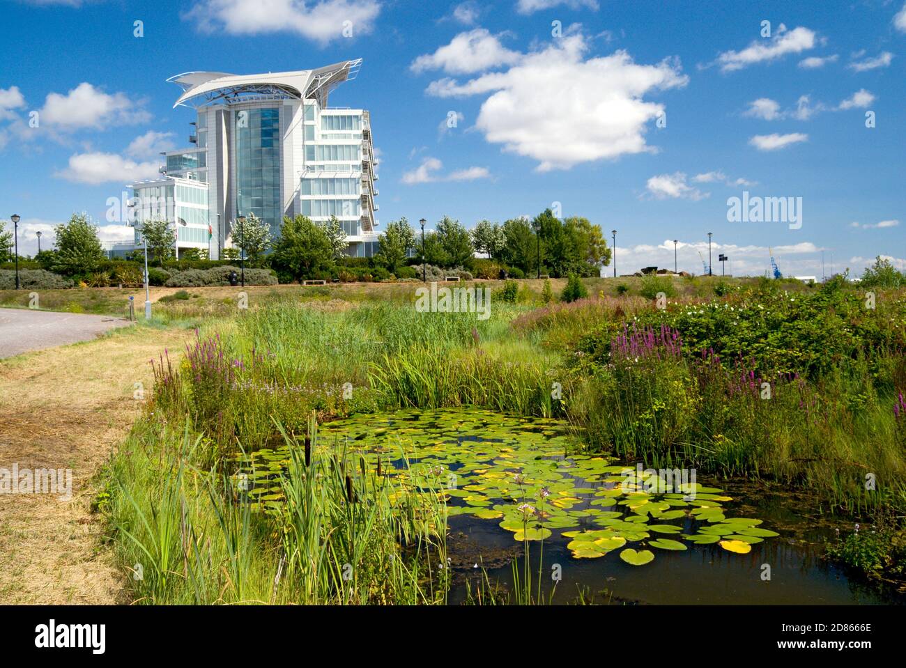 Cardiff bay wetland reserve hi-res stock photography and images - Alamy