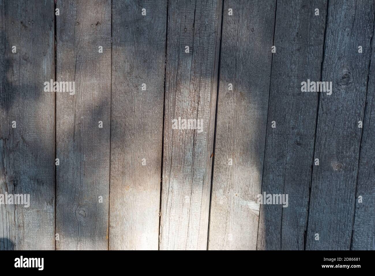 texture of old gray wood close up white, grey wood texture. background ...