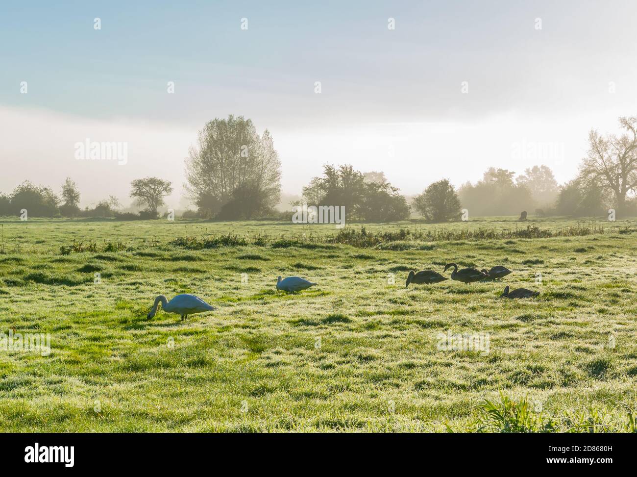 Frosty cold Autumn morning in the countryside in the South of England ...