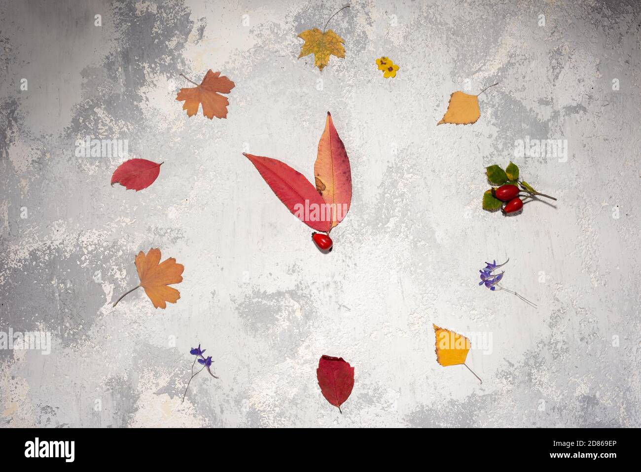 autumn hours, autumn time. Arrows and numbers lined with autumn leaves ...