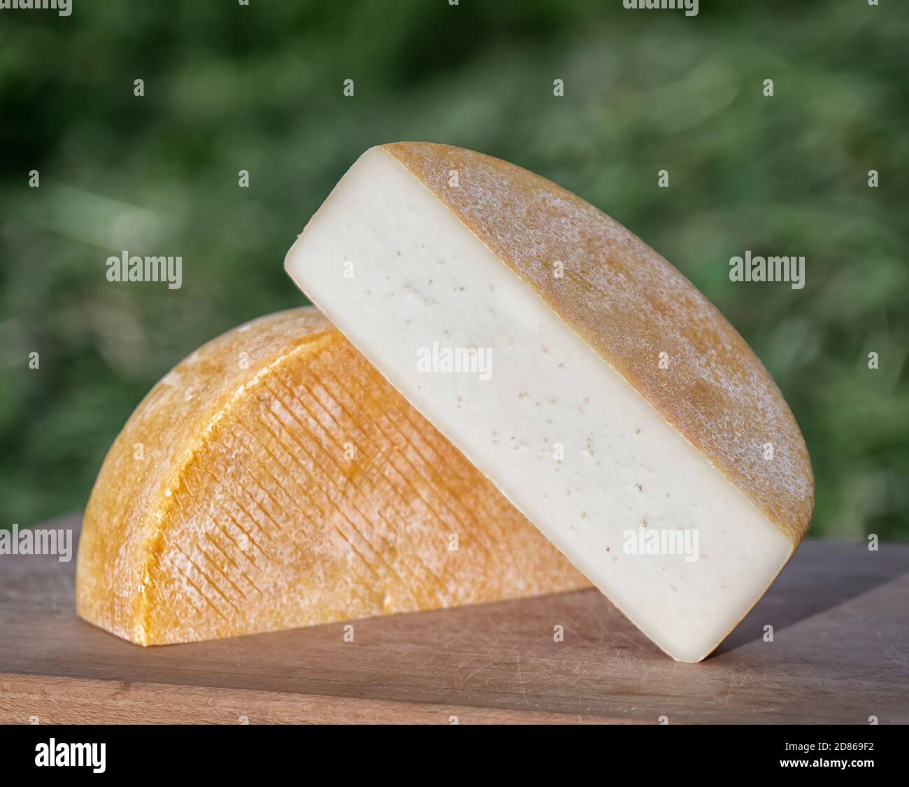 Craft cheese from cows and goats milk. Cheese head Stock Photo - Alamy