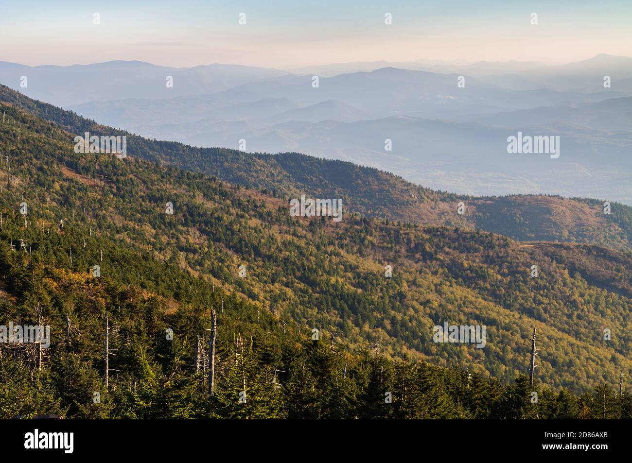 Mount Mitchell State Park Stock Photo - Alamy