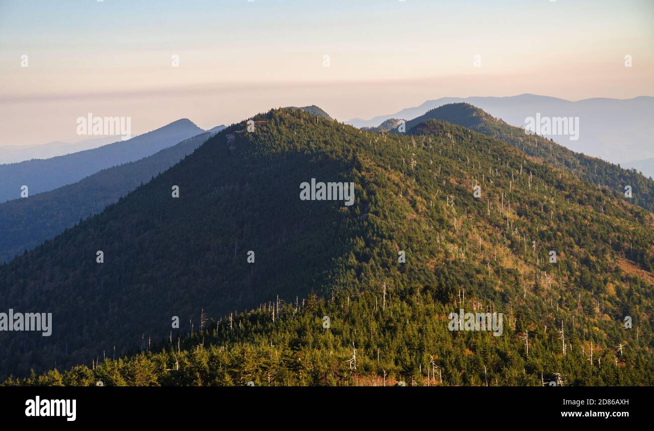 Mount Mitchell State Park Stock Photo - Alamy