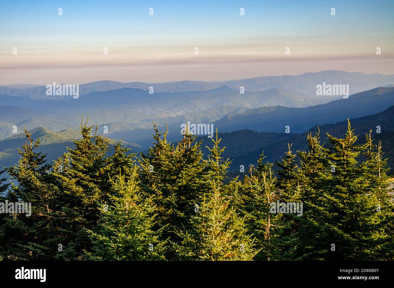 Mount Mitchell State Park Stock Photo - Alamy