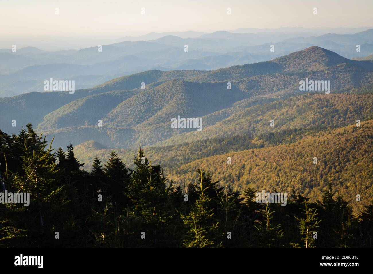 Mount Mitchell State Park Stock Photo - Alamy