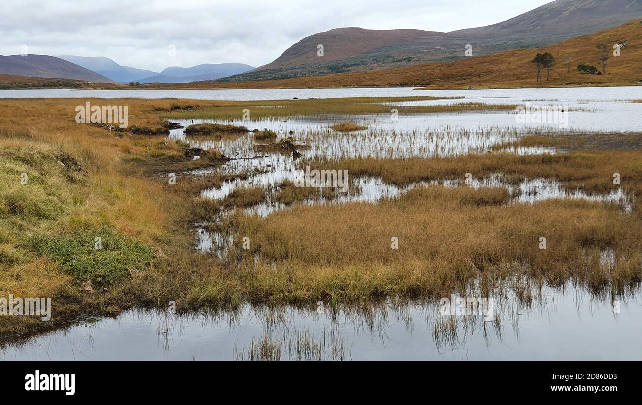 Scottish moors castle hi-res stock photography and images - Alamy