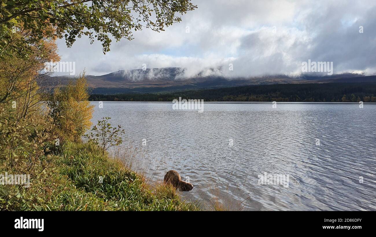 Loch Morlich, Scotland Stock Photo - Alamy