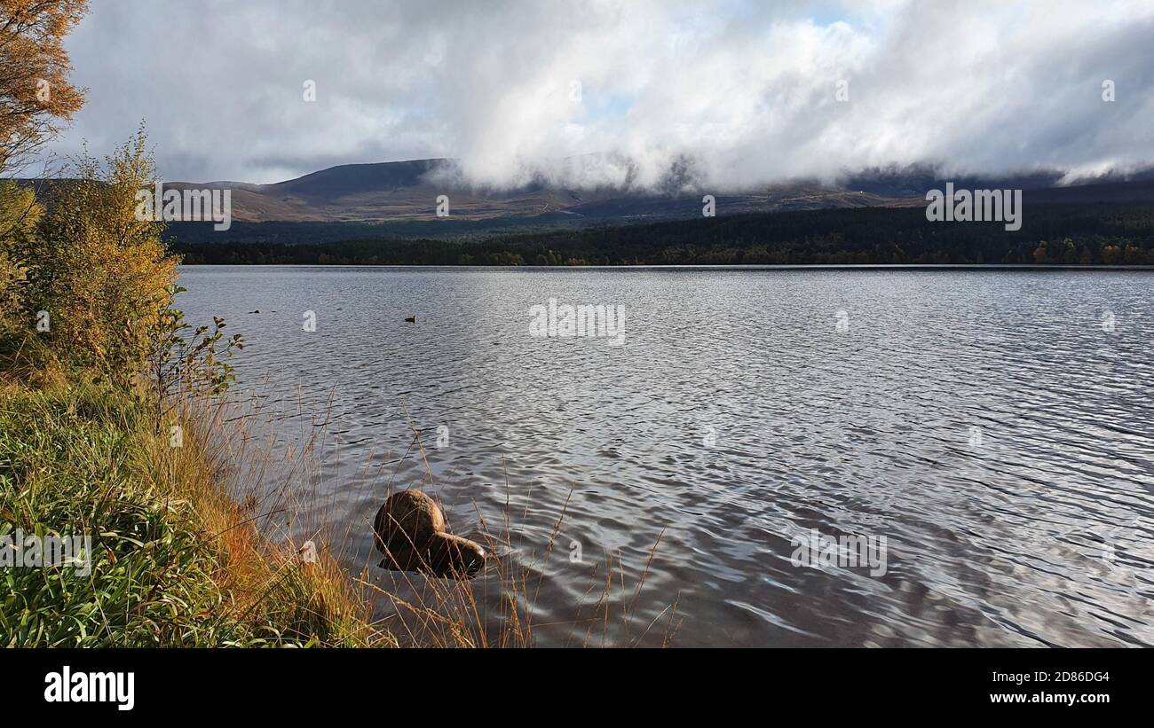Loch Morlich, Scotland Stock Photo - Alamy