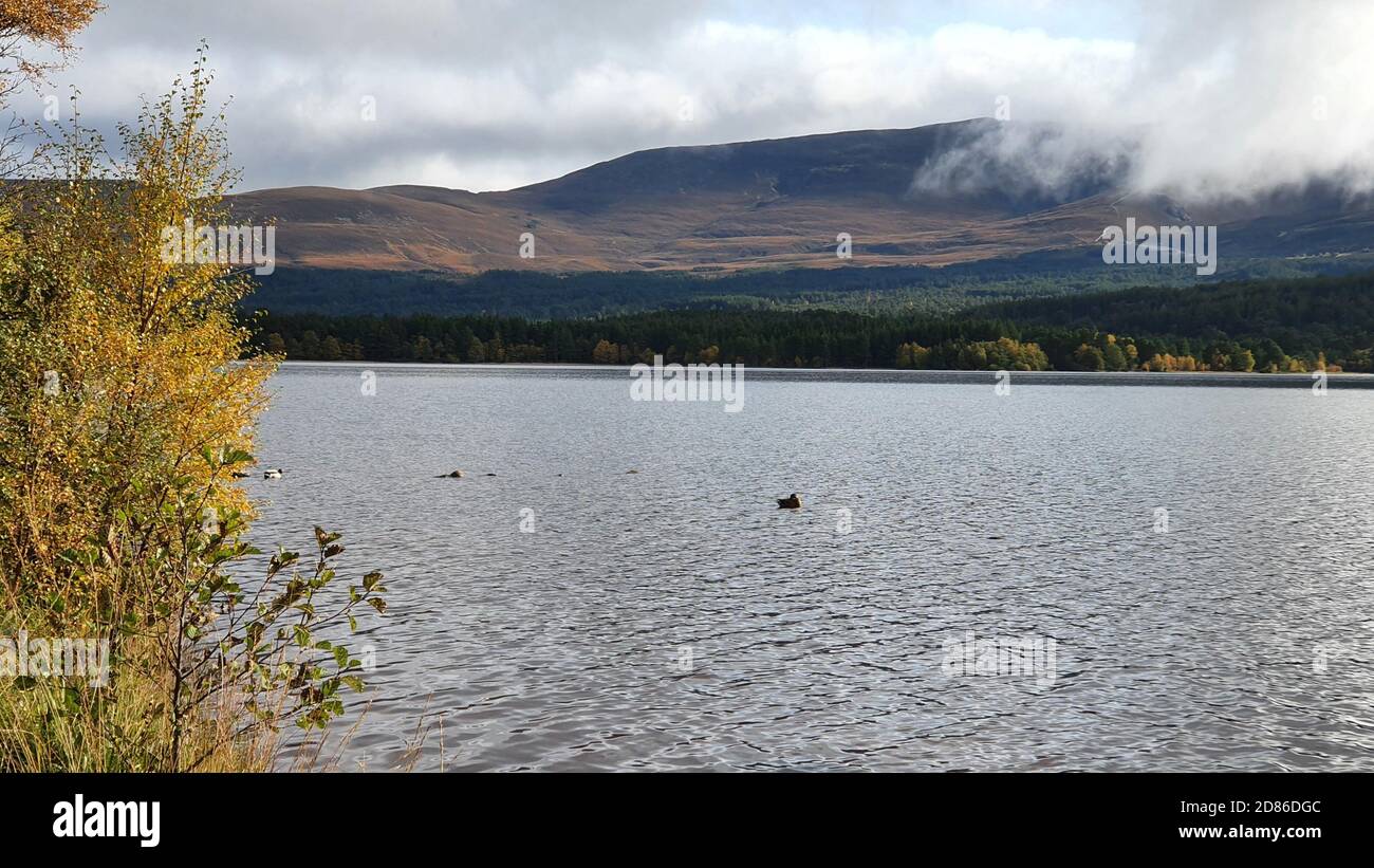 Loch Morlich, Scotland Stock Photo - Alamy