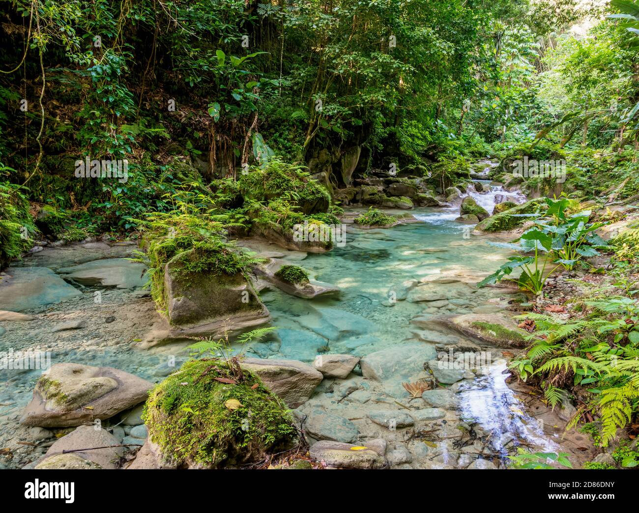 Reach Falls River, Portland Parish, Jamaica Stock Photo - Alamy